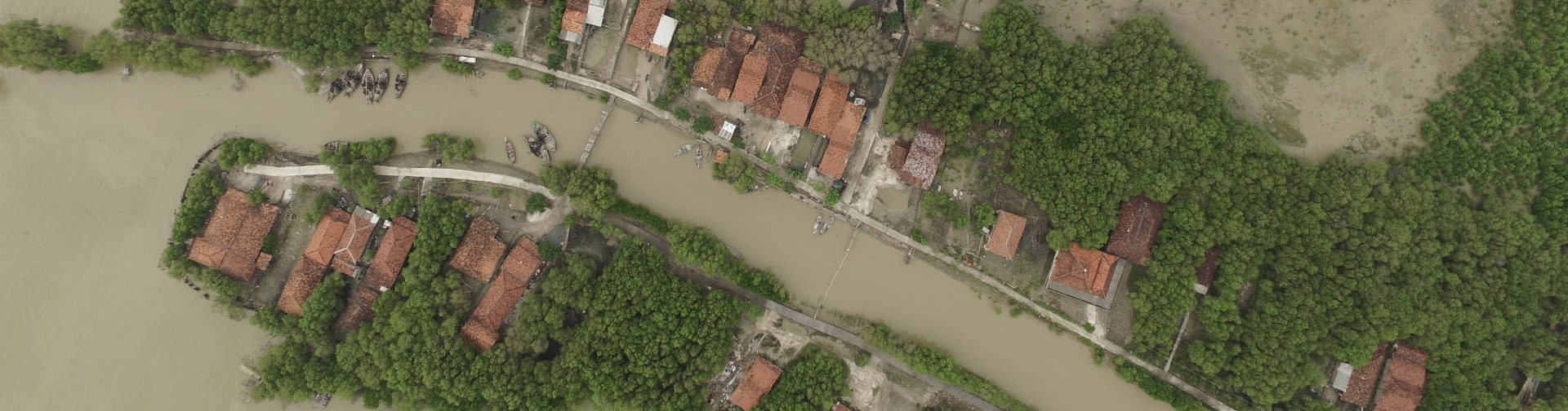 New series of mangrove restoration works on eroded coast in Java ...