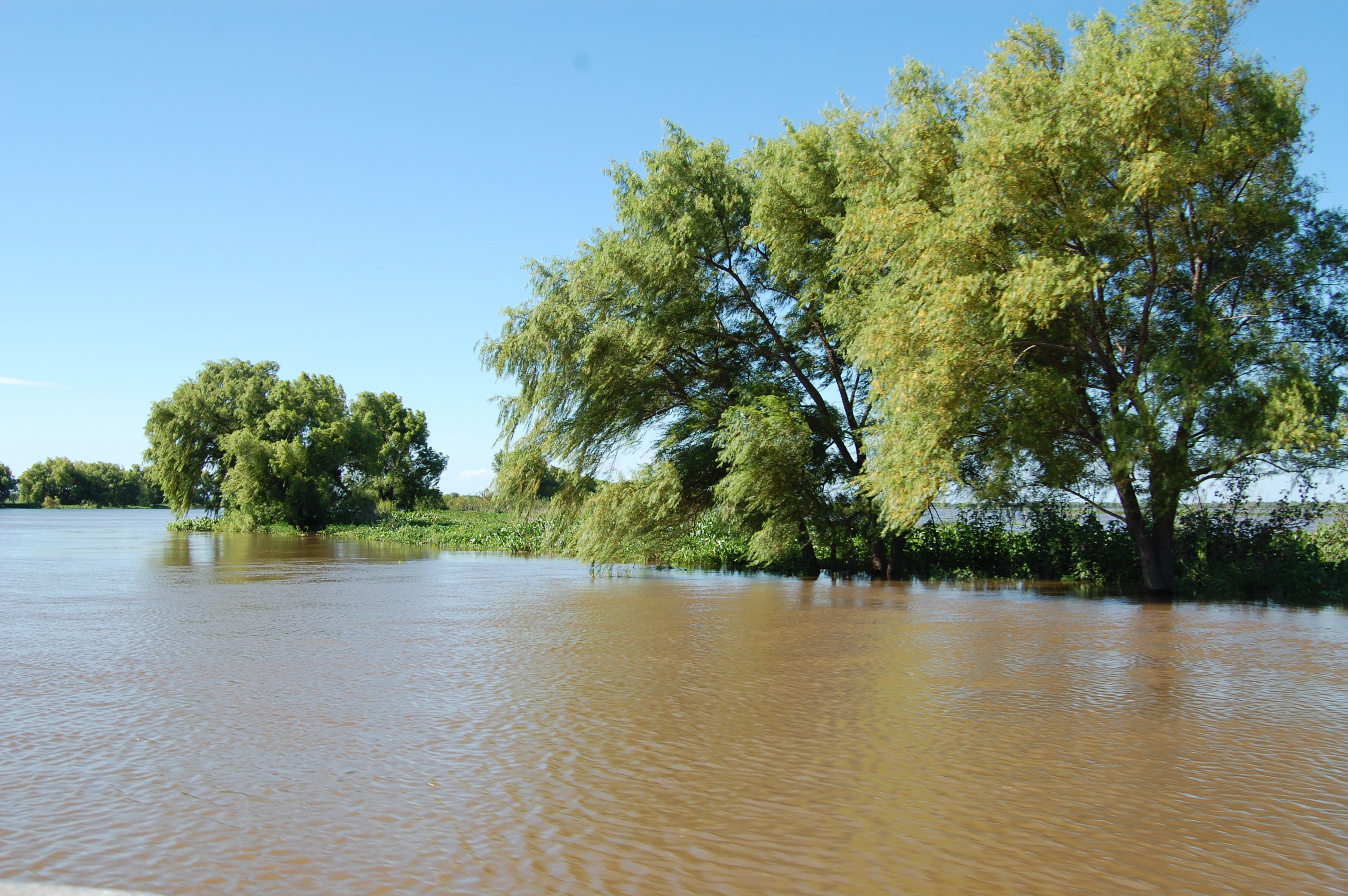 delta del parana argentina - Wetlands International
