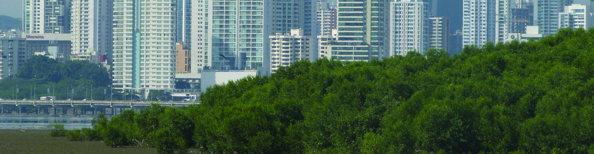 Living with water & wetlands: flood risk reduction in Panama City ...