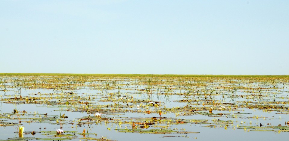 Maintaining wetlands as fresh water stocks in the Sahelian zone in the ...