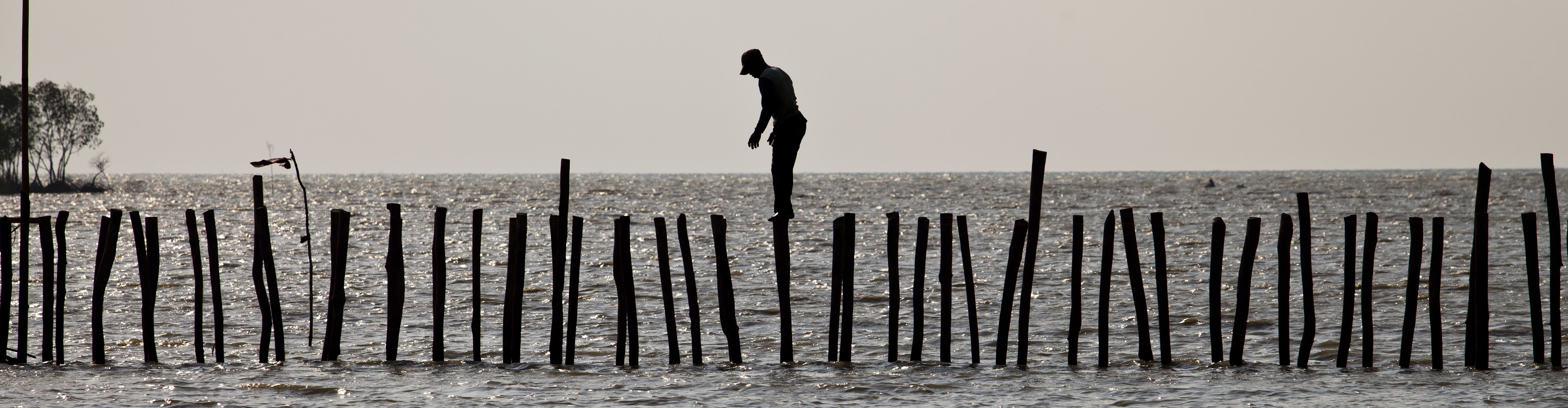 Innovating Engineering and Ecosystem-based Approaches for Disaster Risk ...