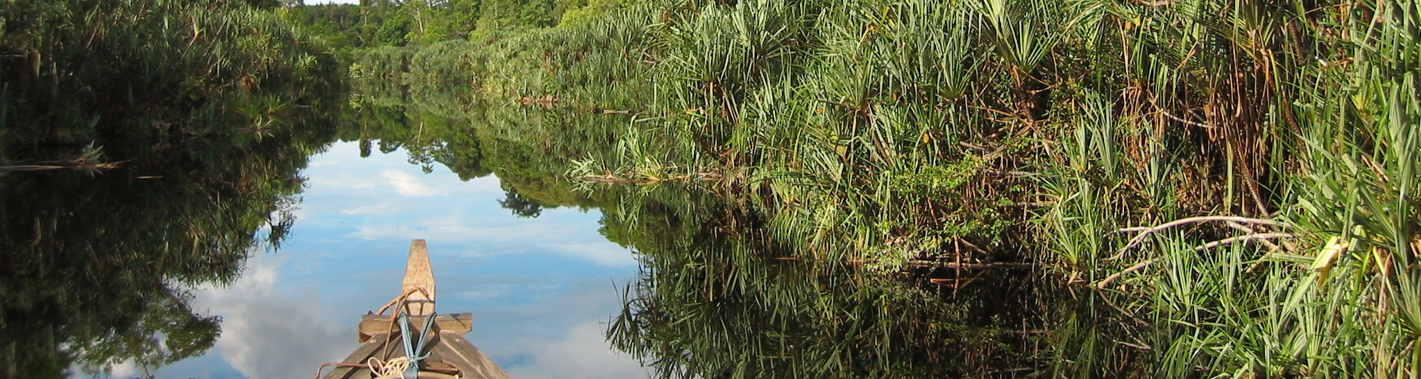 Publications, reports and video's of Wetlands International