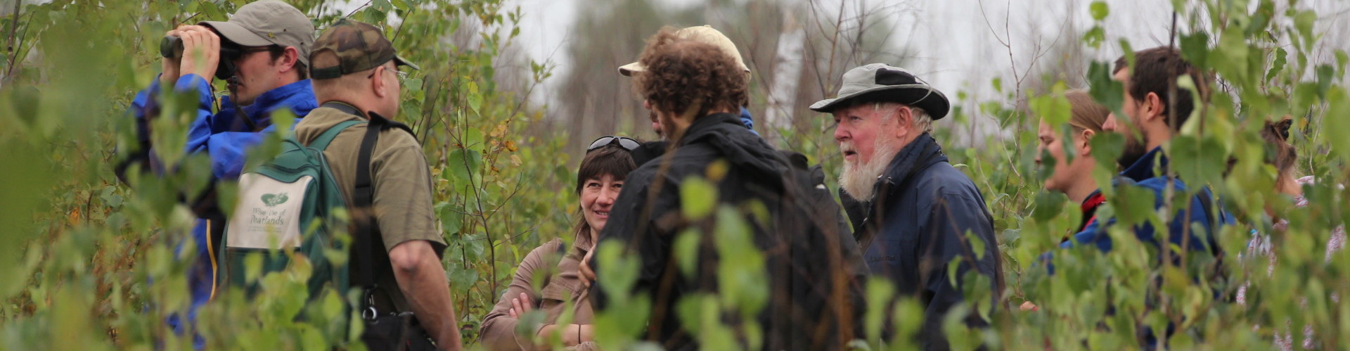 Associate Experts - Wetlands International