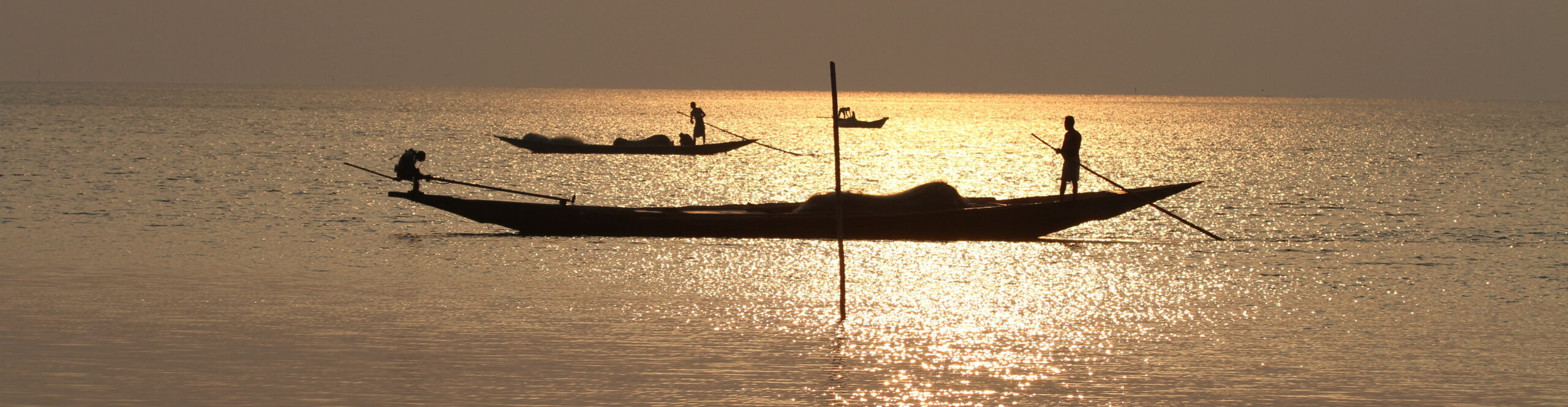 Towards vibrant wetlands in the Mahanadi delta and Kosi-Gandak ...