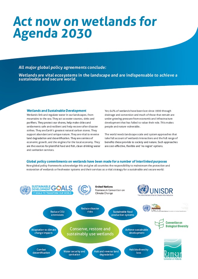 Act now on wetlands - Wetlands International