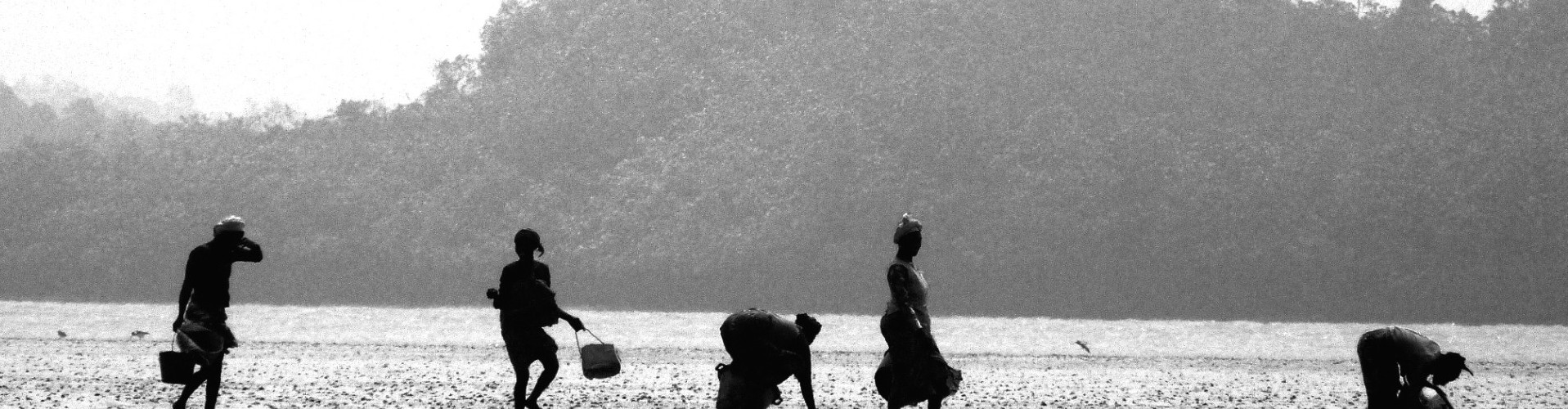 Integrated delta management - Wetlands International