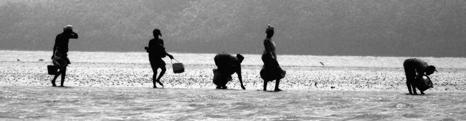 Integrated delta management - Wetlands International