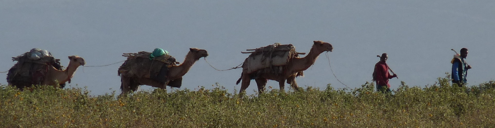 Atlas of Ethiopia's Upper Fafan Catchment - Wetlands International