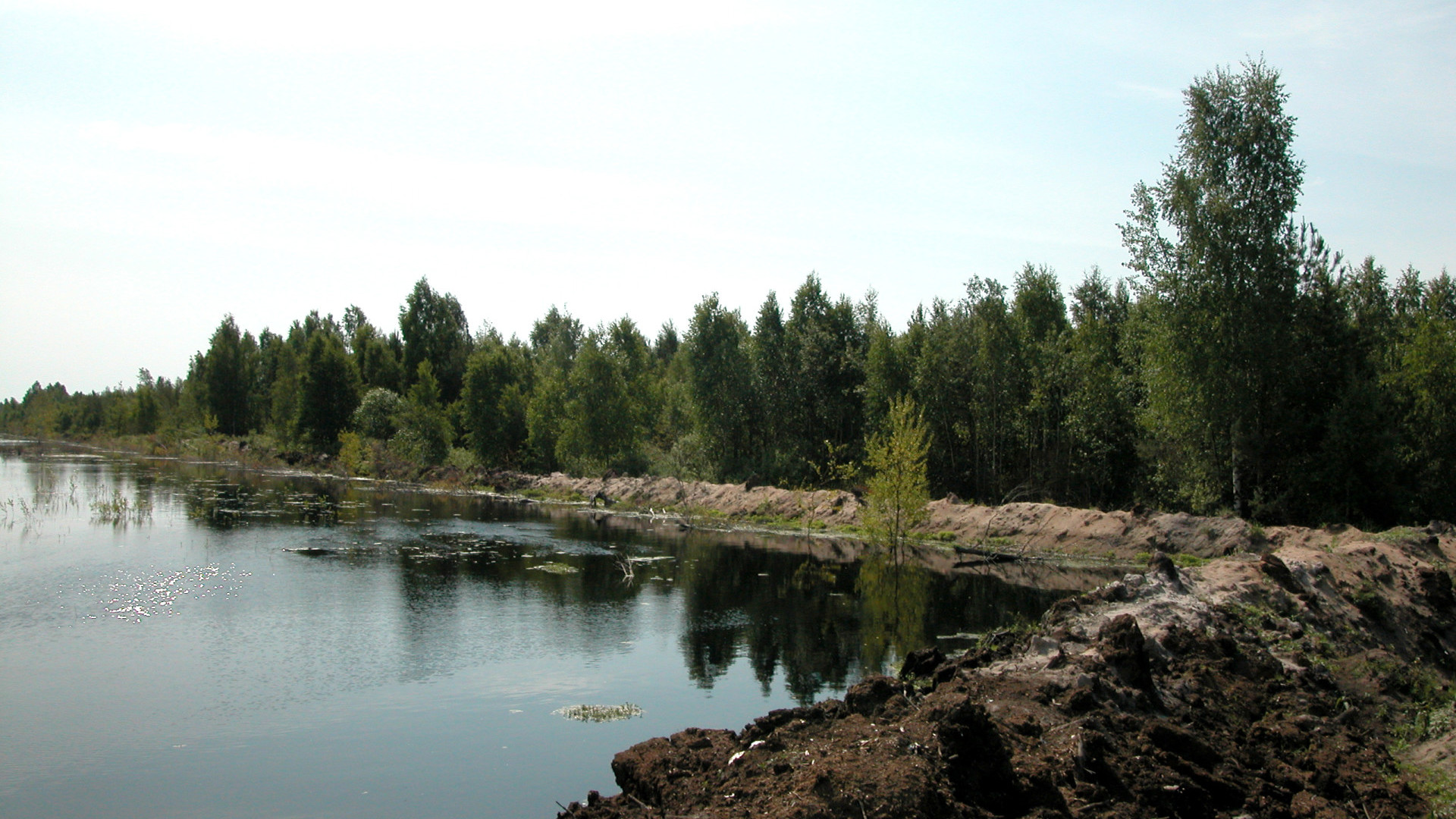 Restoring peatlands in Russia - Wetlands International