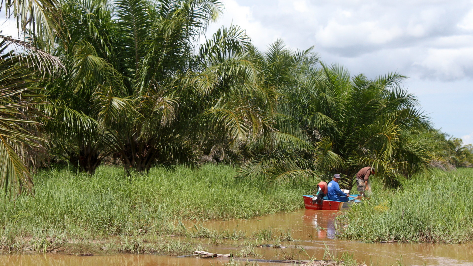 Wetlands International to highlight soil subsidence and flooding at ...