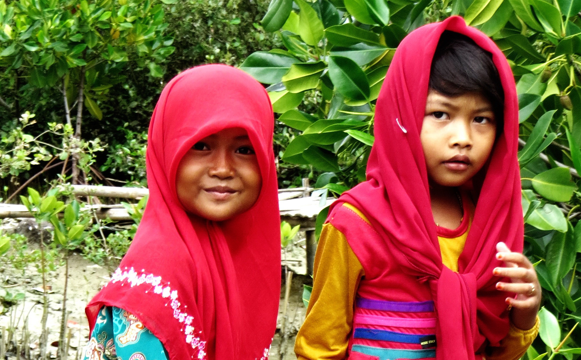 Mangrove restoration: to plant or not to plant? - Wetlands International