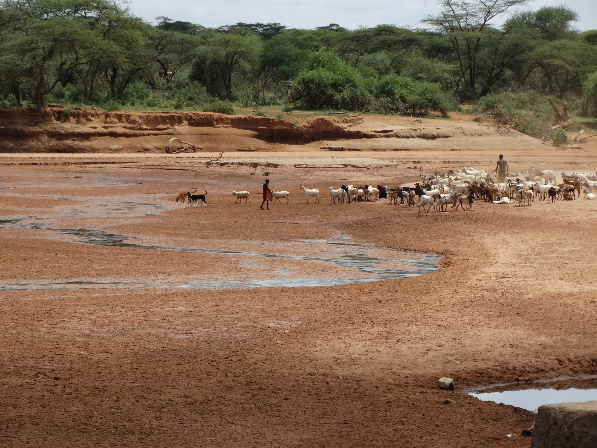 Landscape scale Disaster Risk Reduction: Water trade-offs to reduce ...