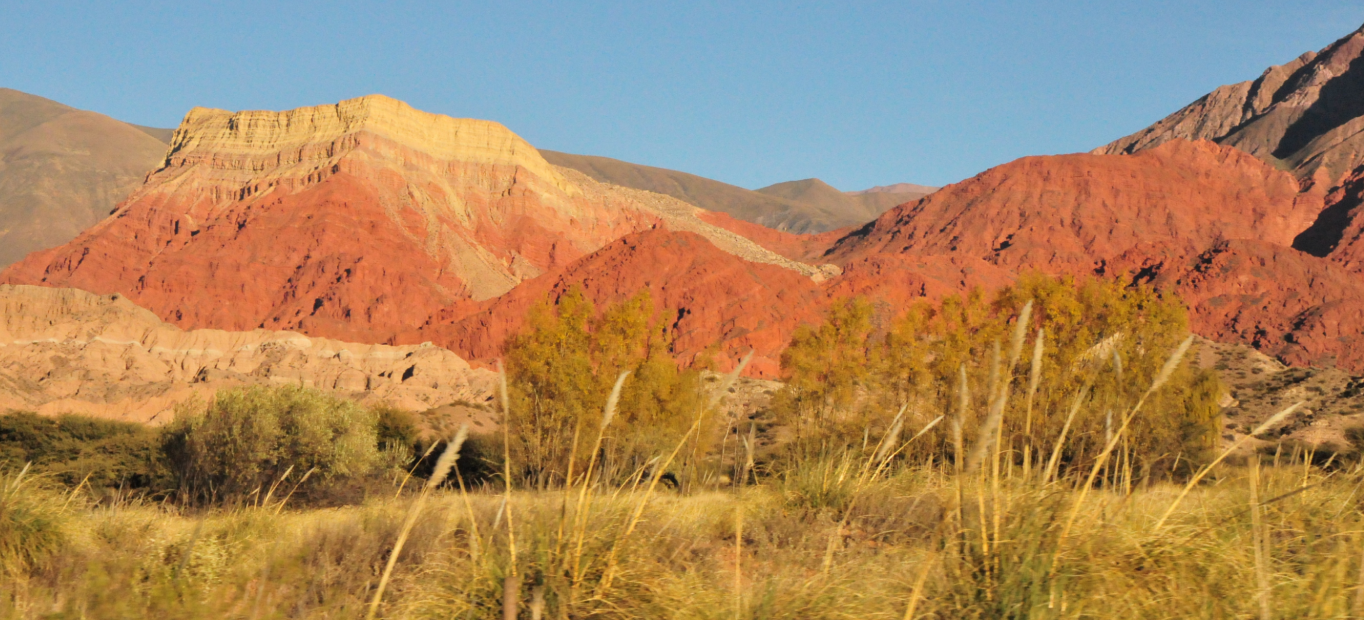 The Andean region: a place to conserve - Wetlands International