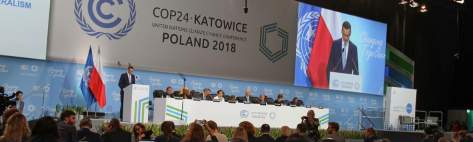Building with Nature at Climate Conference (COP24) in Katowice ...