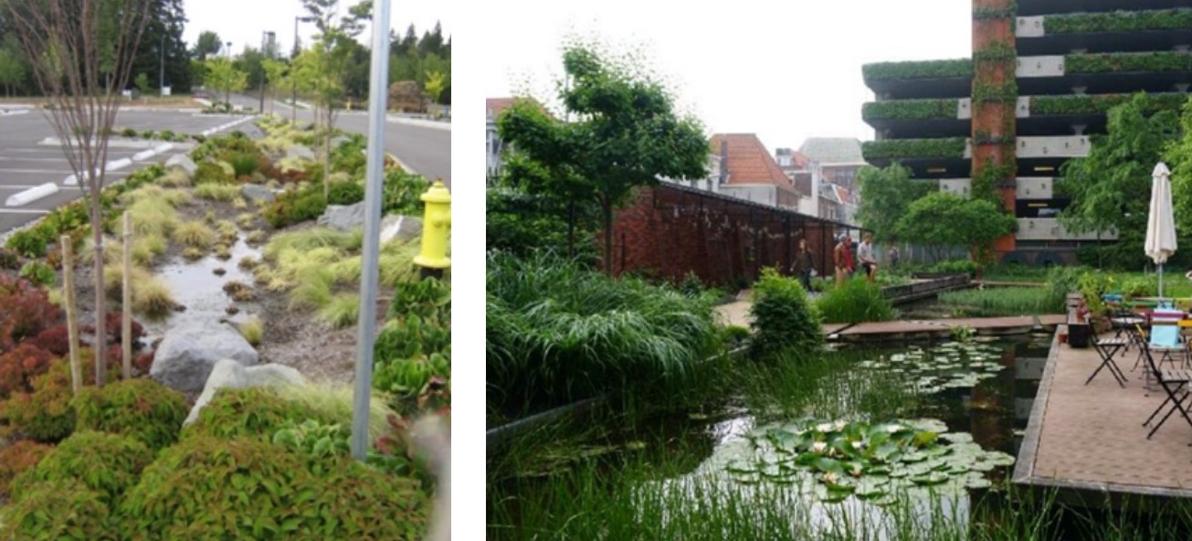 Urban stream and artificial wetland - Wetlands International