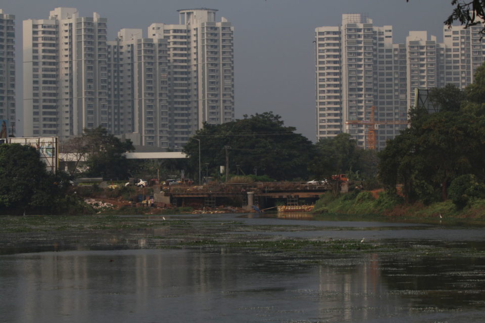 In India, Nature’s Power Overwhelms Engineered Wetlands - Wetlands ...