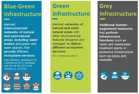 Blue-green infrastructure: from a single measure to city-wide network ...