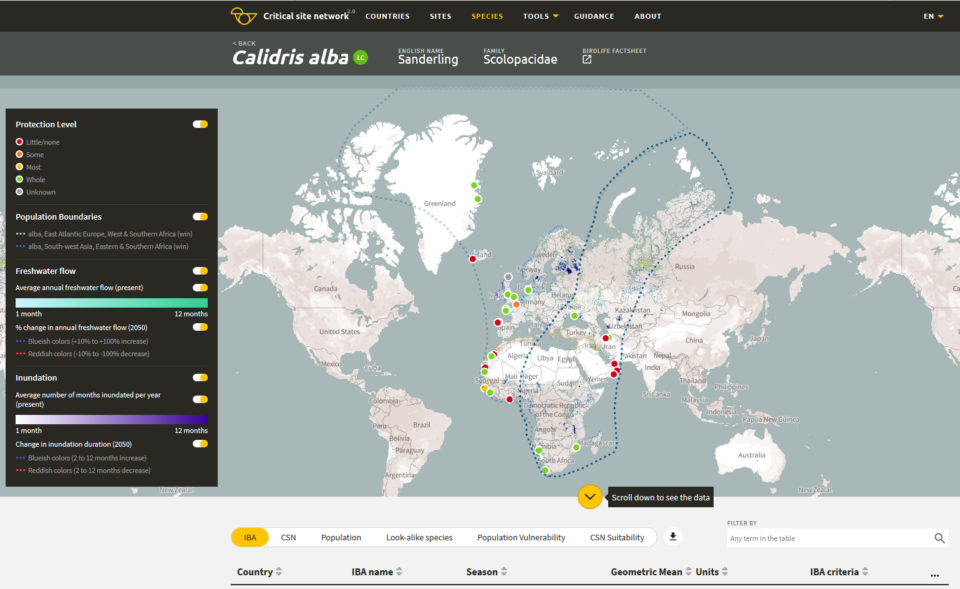 The Wings Over Wetlands (WOW) Project - Wetlands International