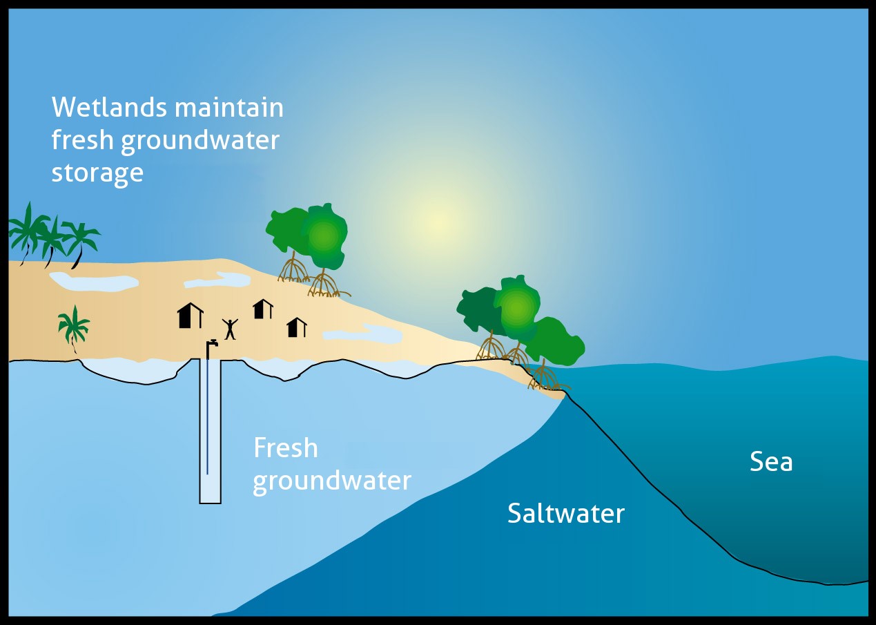Understanding water as a commoner - Wetlands International
