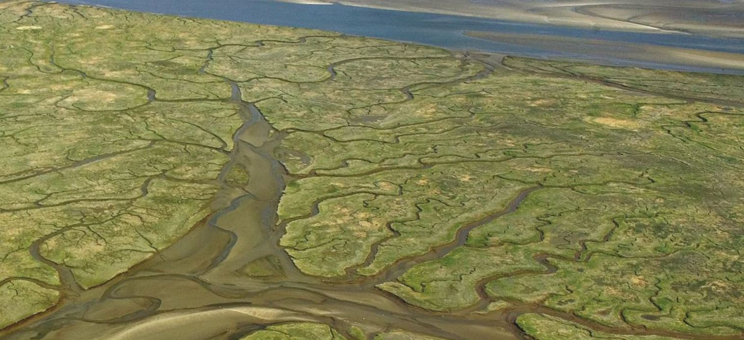 Risk Assessment North Coast Java: the conservation of mangroves should ...
