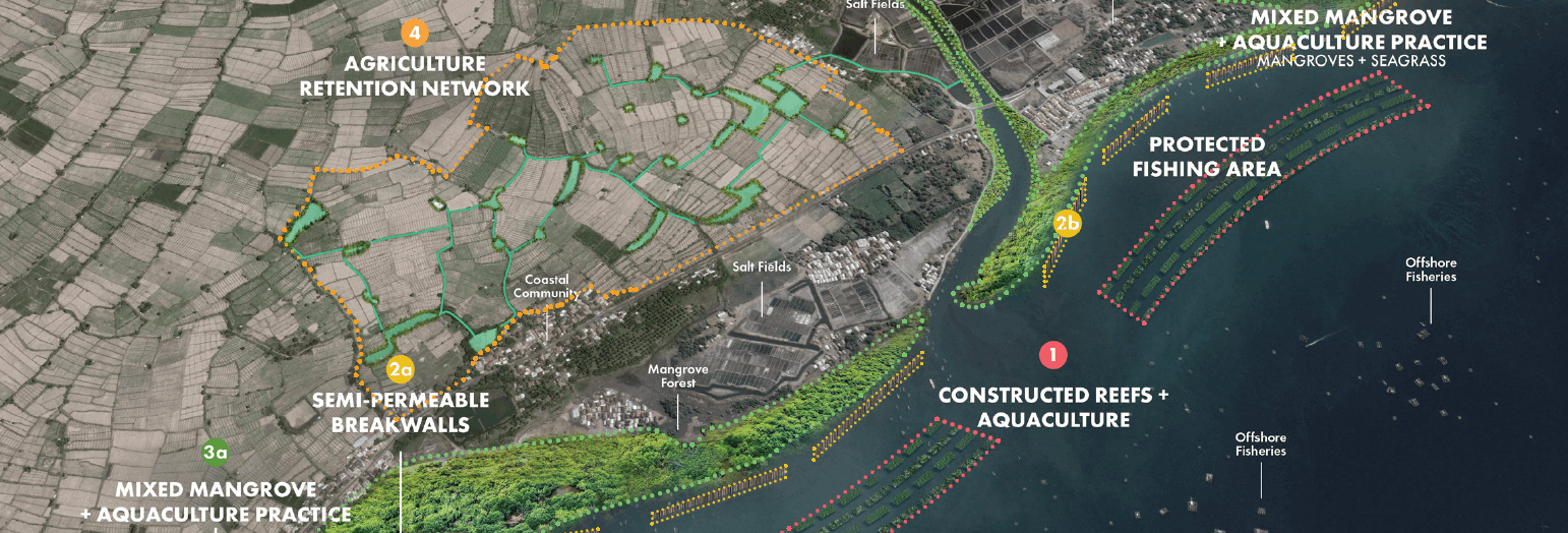 Accelerating adaptation through Building with Nature in Asia - Wetlands ...