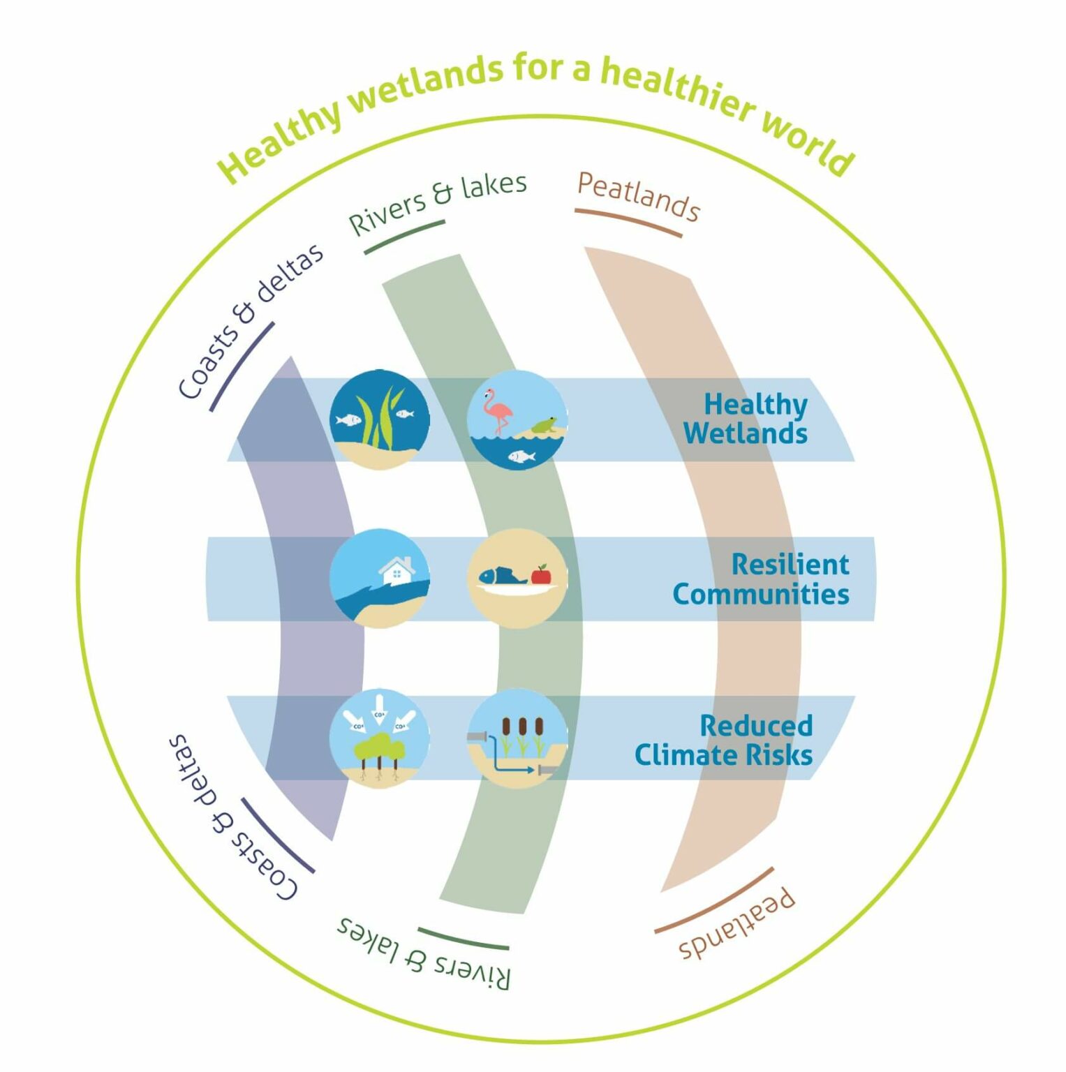 Our Strategy - Wetlands International