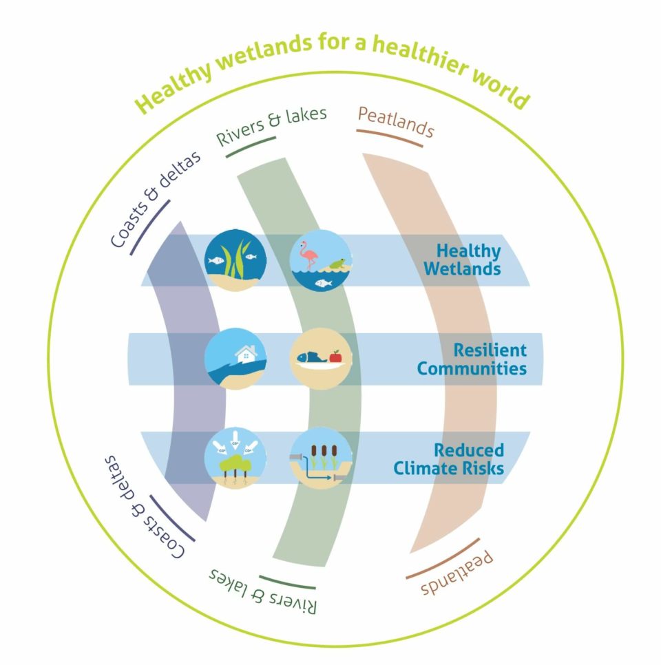 Our Strategy - Wetlands International