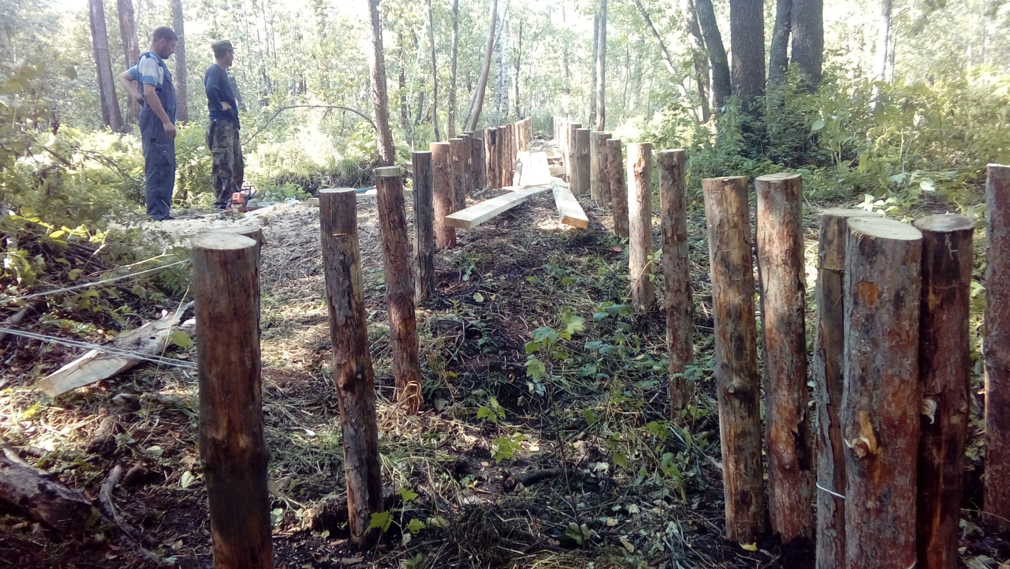 Virtual community training to continue to rewetting peatlands in ...