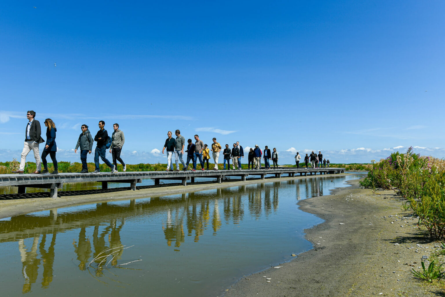 Coasts and Deltas - Wetlands International