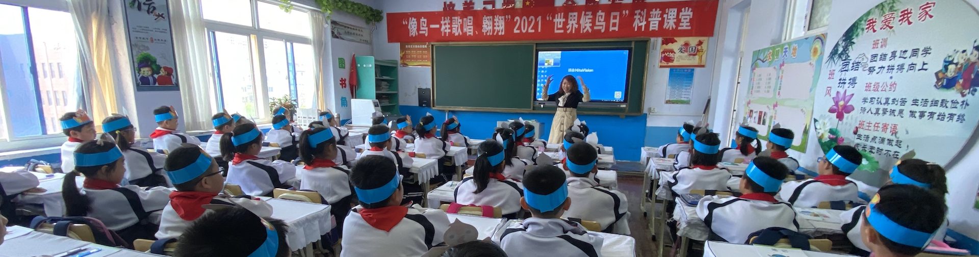 World Migratory Bird Day: Celebrating birds, wetlands and communities ...