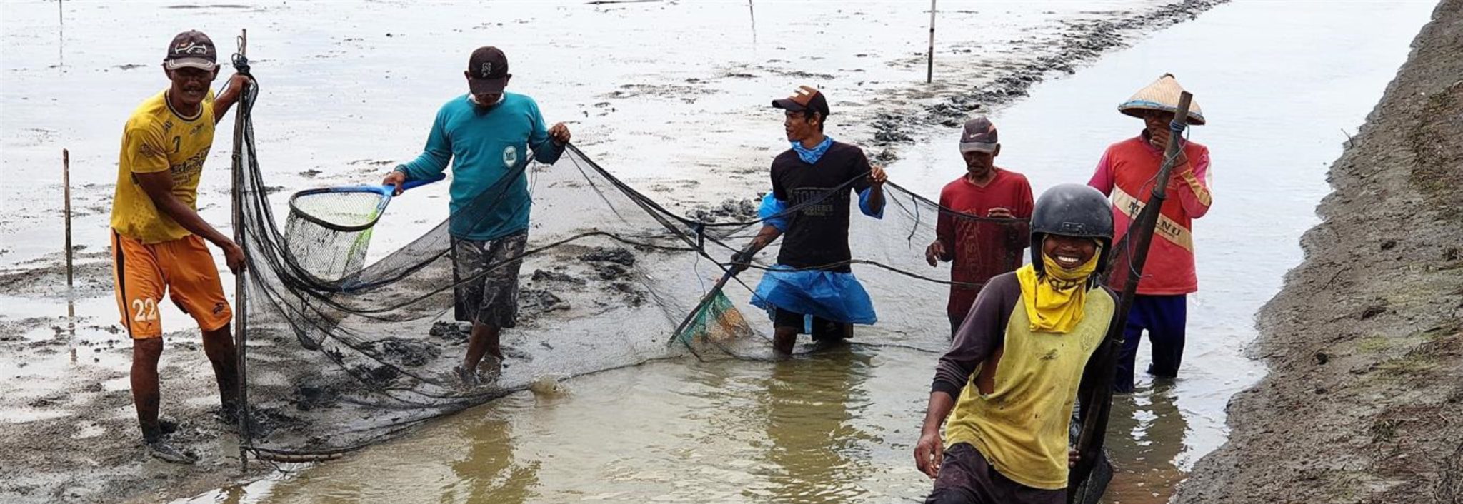 Technical Guideline 'Building Sustainable Aquaculture through Coastal ...