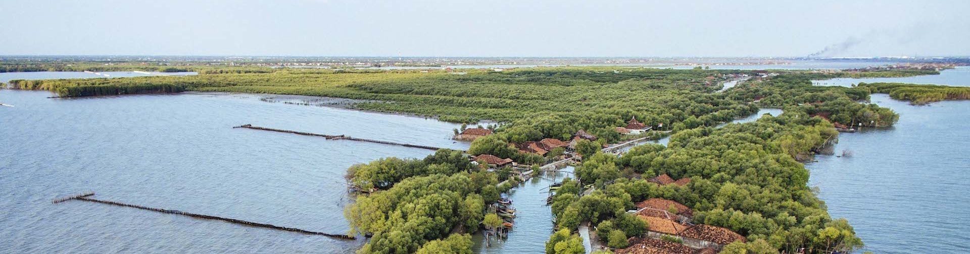 Senior Programme Developer – Building with Nature Asia - Wetlands ...