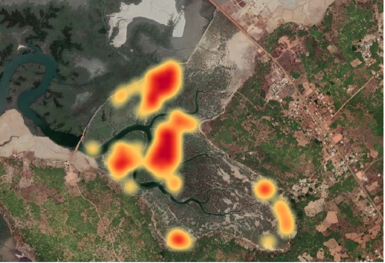 Taking Rapid Action on Disturbance Alerts - Wetlands International