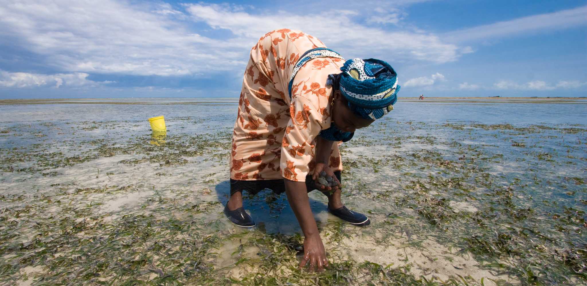 Three reasons we need immediate action for wetlands - Wetlands ...