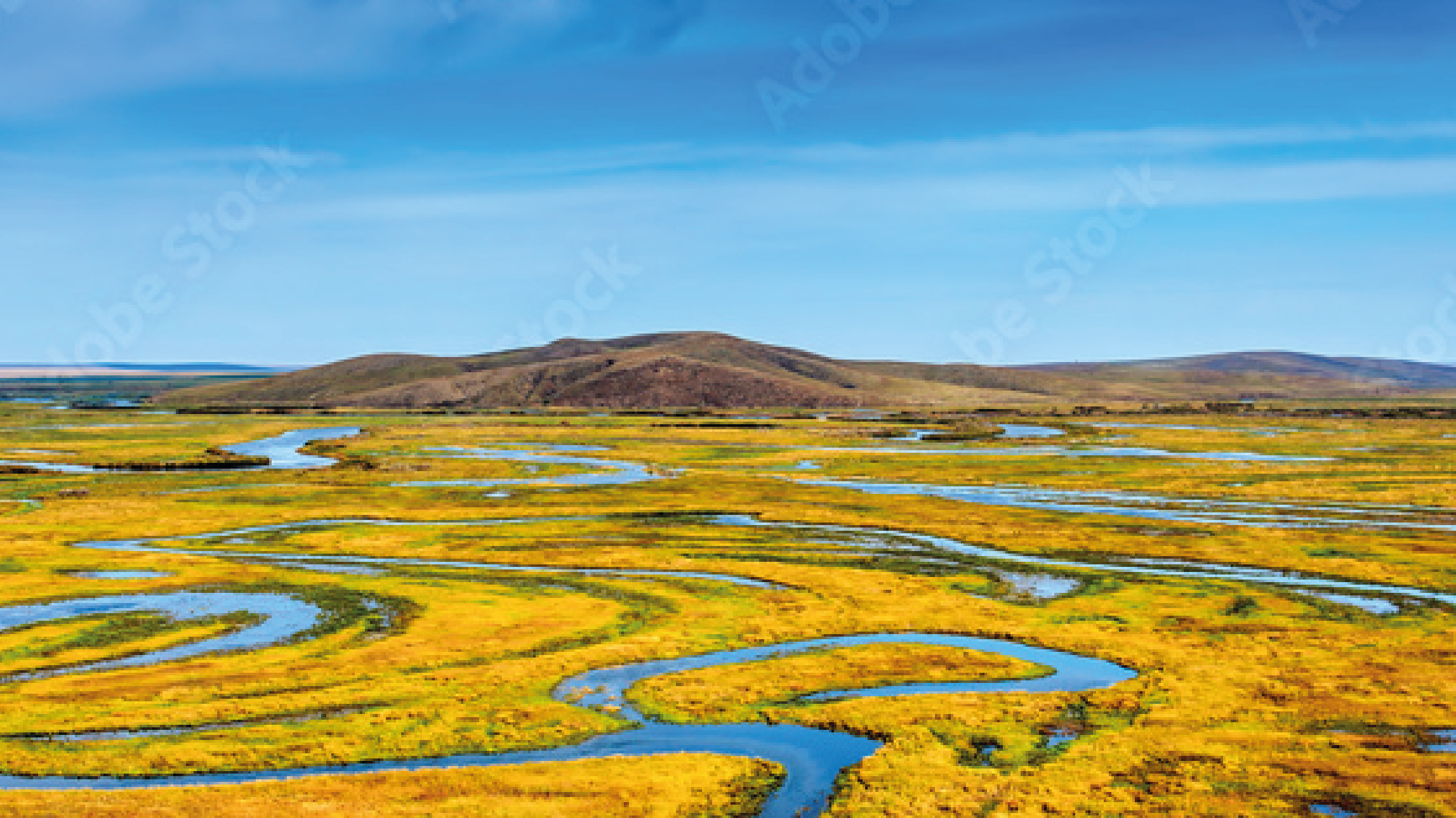 wetland - china-01 - Wetlands International