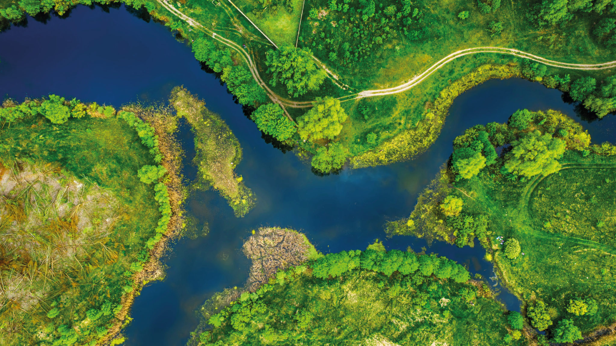 Home - Wetlands International