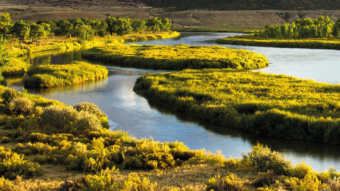 An answer to the climate crisis: keeping our wetlands wet - Wetlands ...