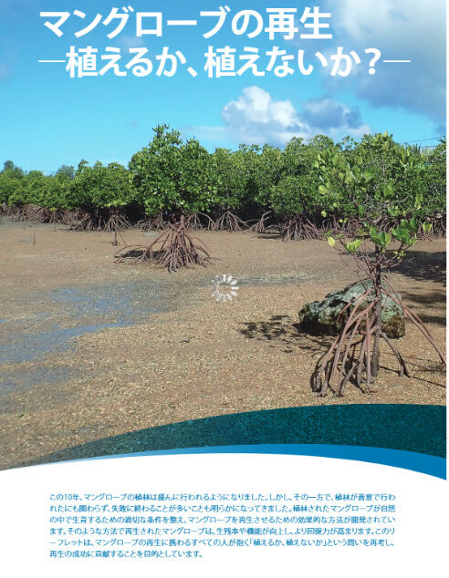 Mangrove restoration: to plant or not to plant? - Wetlands International