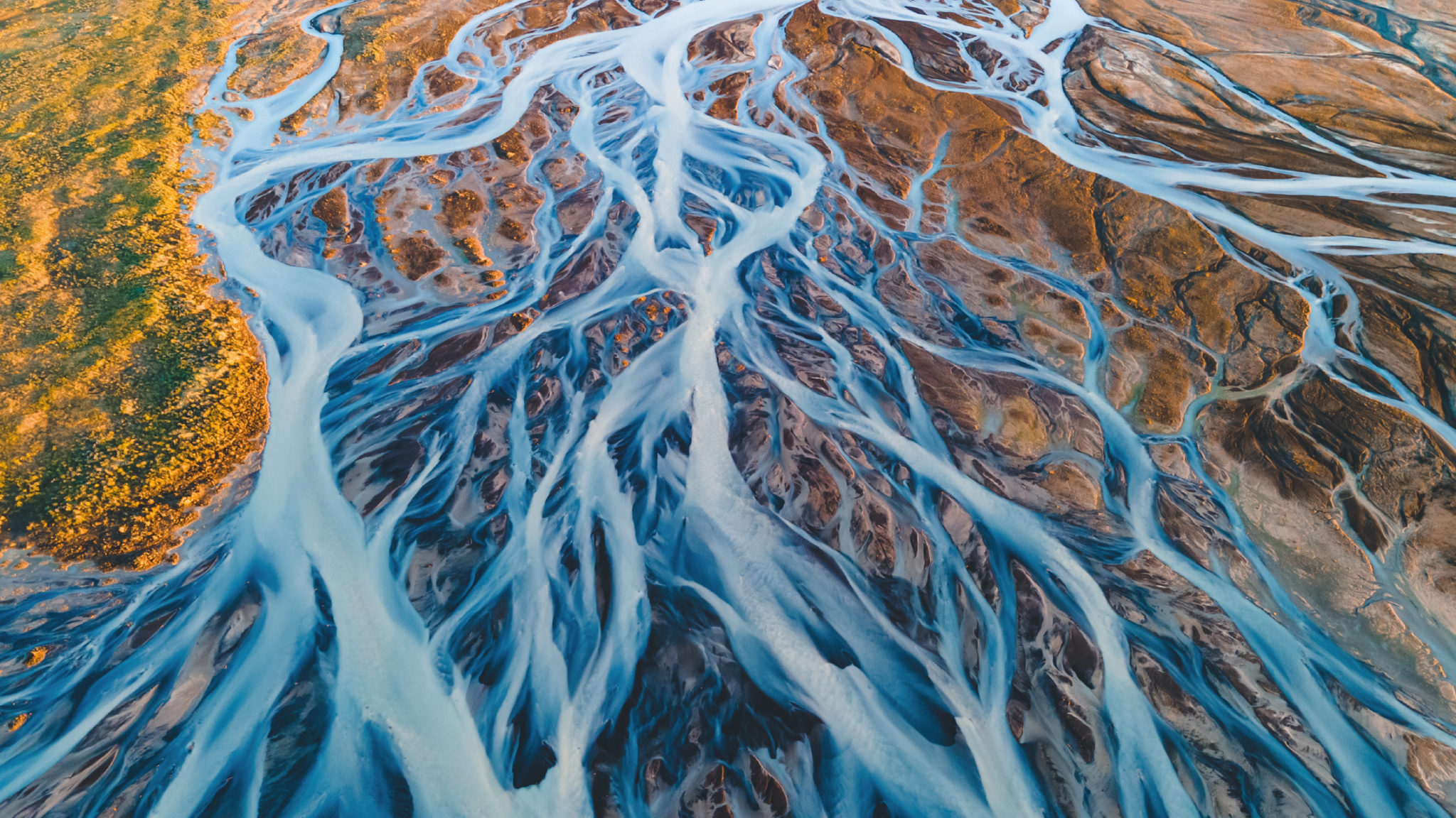 Why wetlands are so important for both nature and climate - Wetlands ...