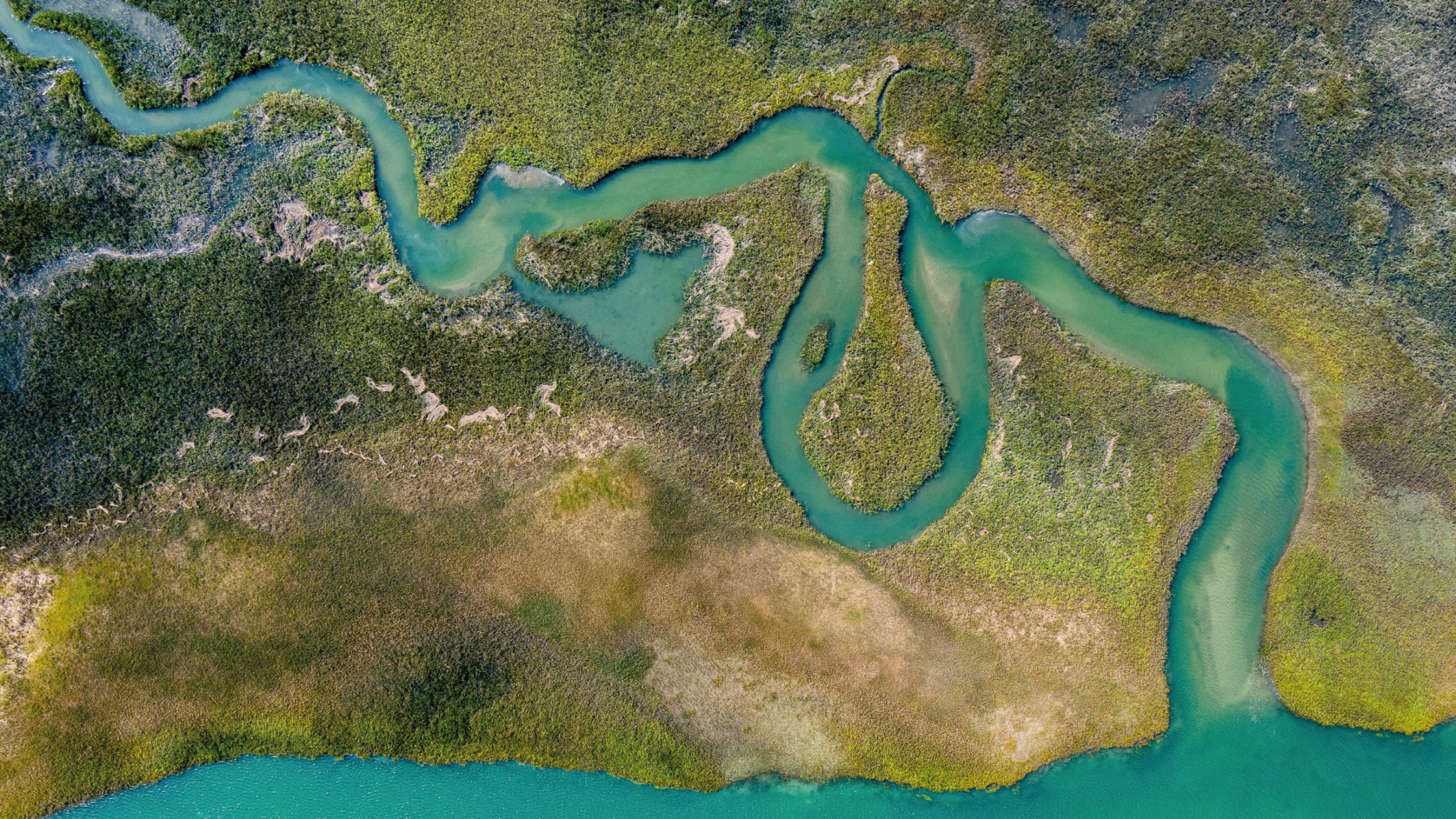 Big boost to climate action as 38 new countries join the world’s ...