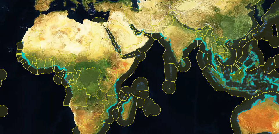 Integrating Mangrove Ecosystems into NBSAPs through the Global Mangrove ...