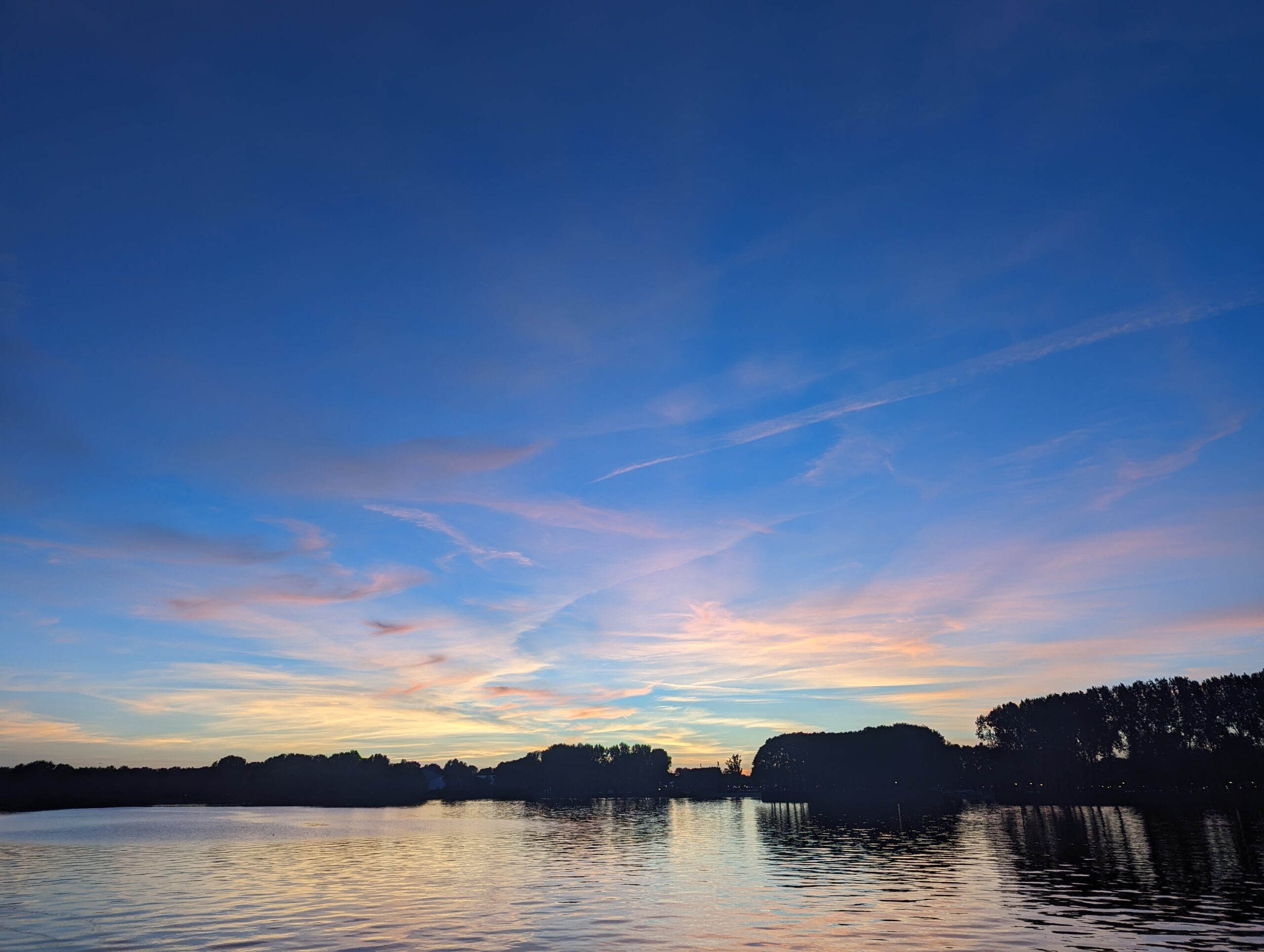 Why we need The Freshwater Challenge at COP28 - Wetlands International