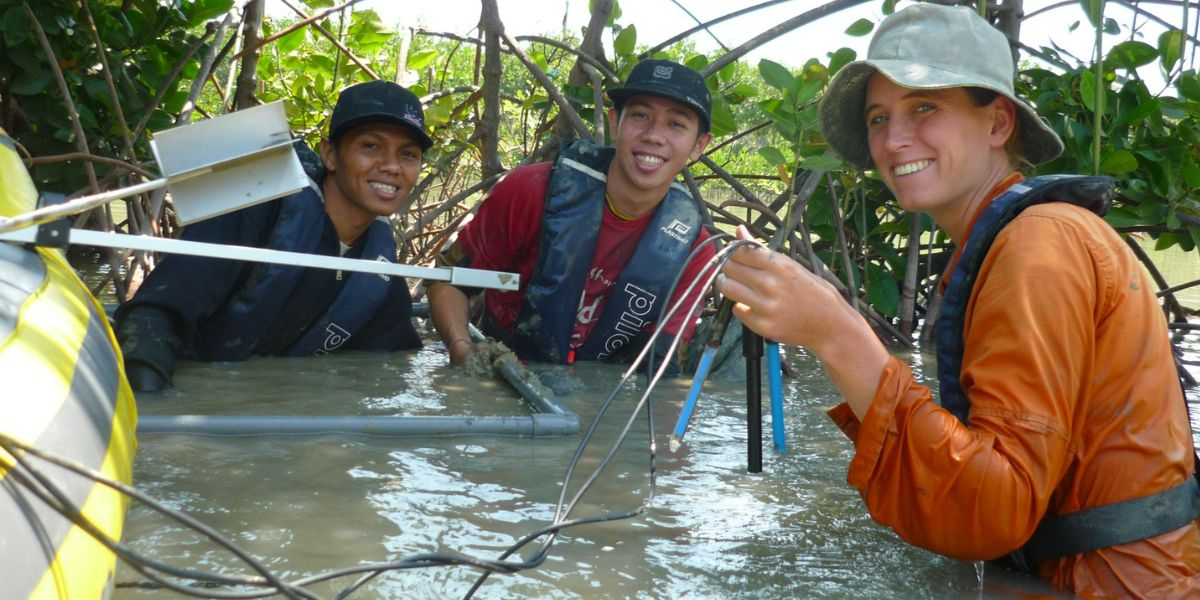 Sustainable protection of rapidly subsiding coastlines with mangroves - Wetlands International
