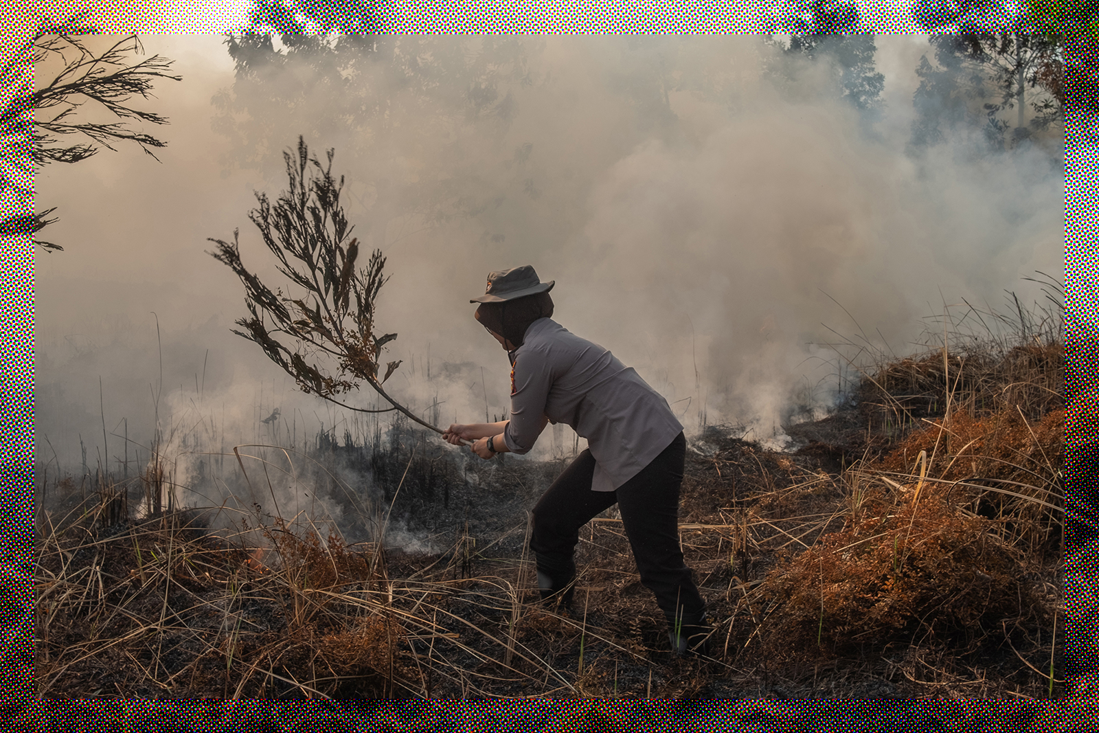 Peatlands – a solution to transform our food systems - Wetlands ...