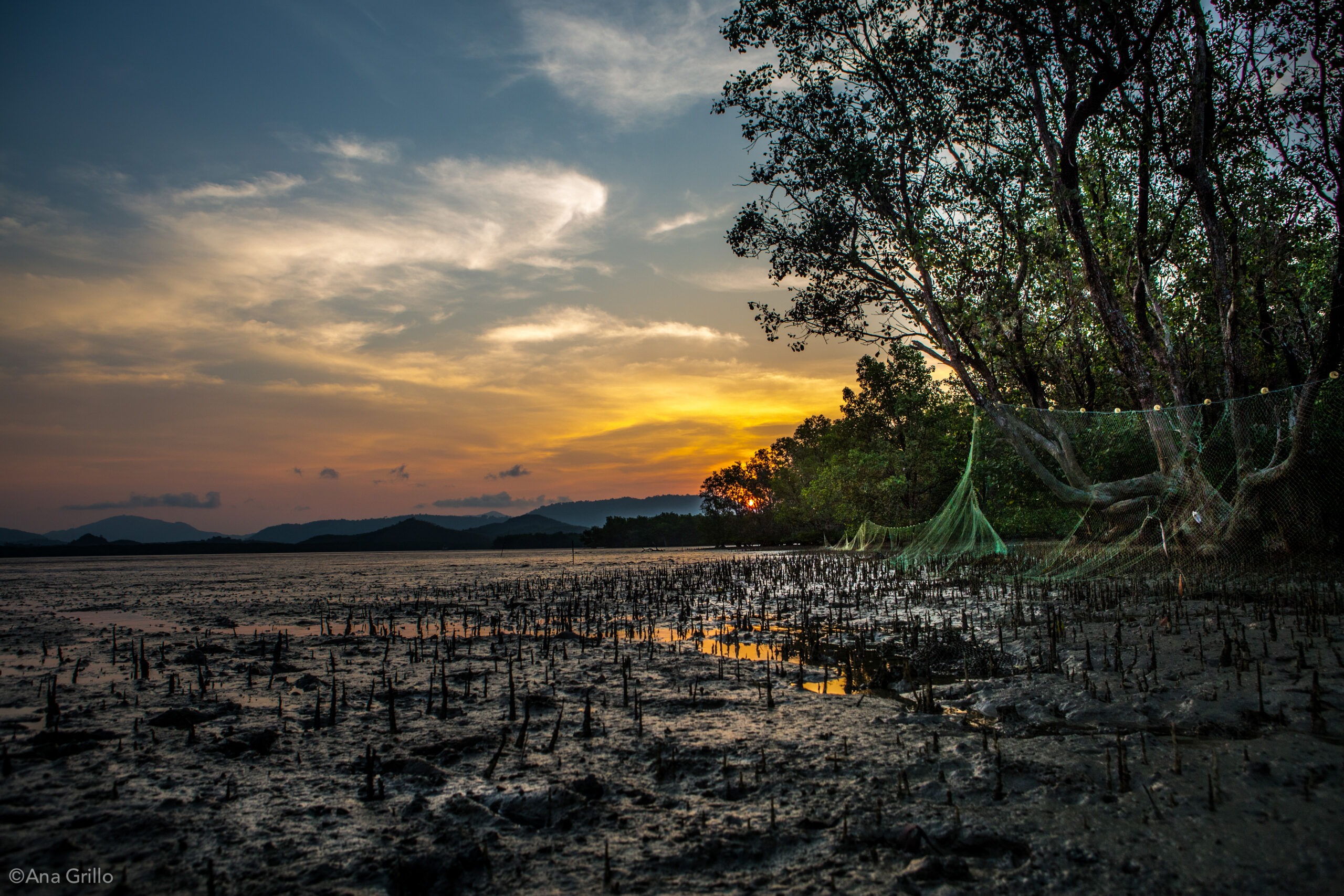 Legal And Policy Recommendations To Support International Mangrove ...