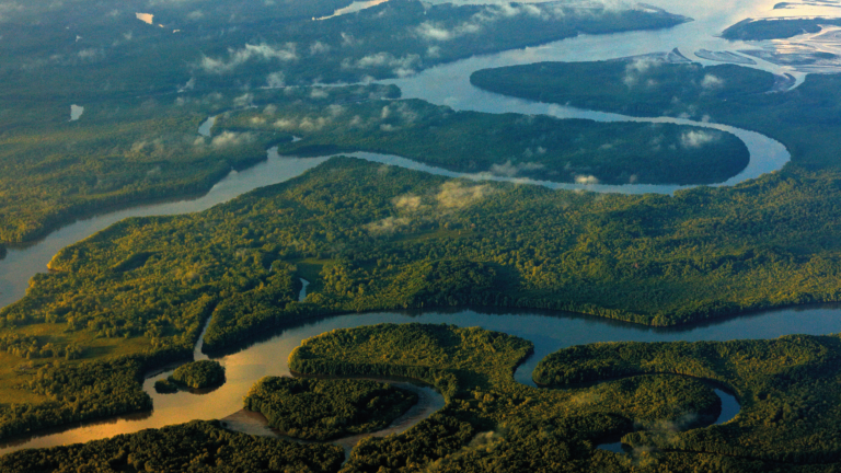 Home - Wetlands International