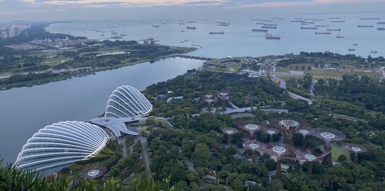 Home - Wetlands International