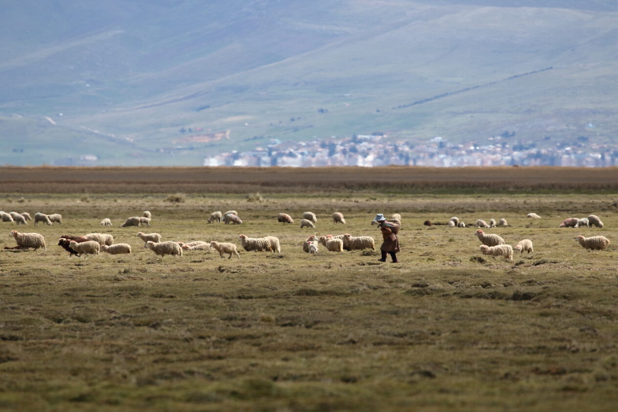 Lake Chinchaycocha, Peru - Wetlands International
