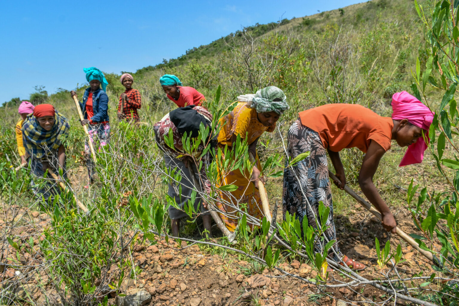 Restoring resilience in Lake Ziway: Innovative partnership to boost ...