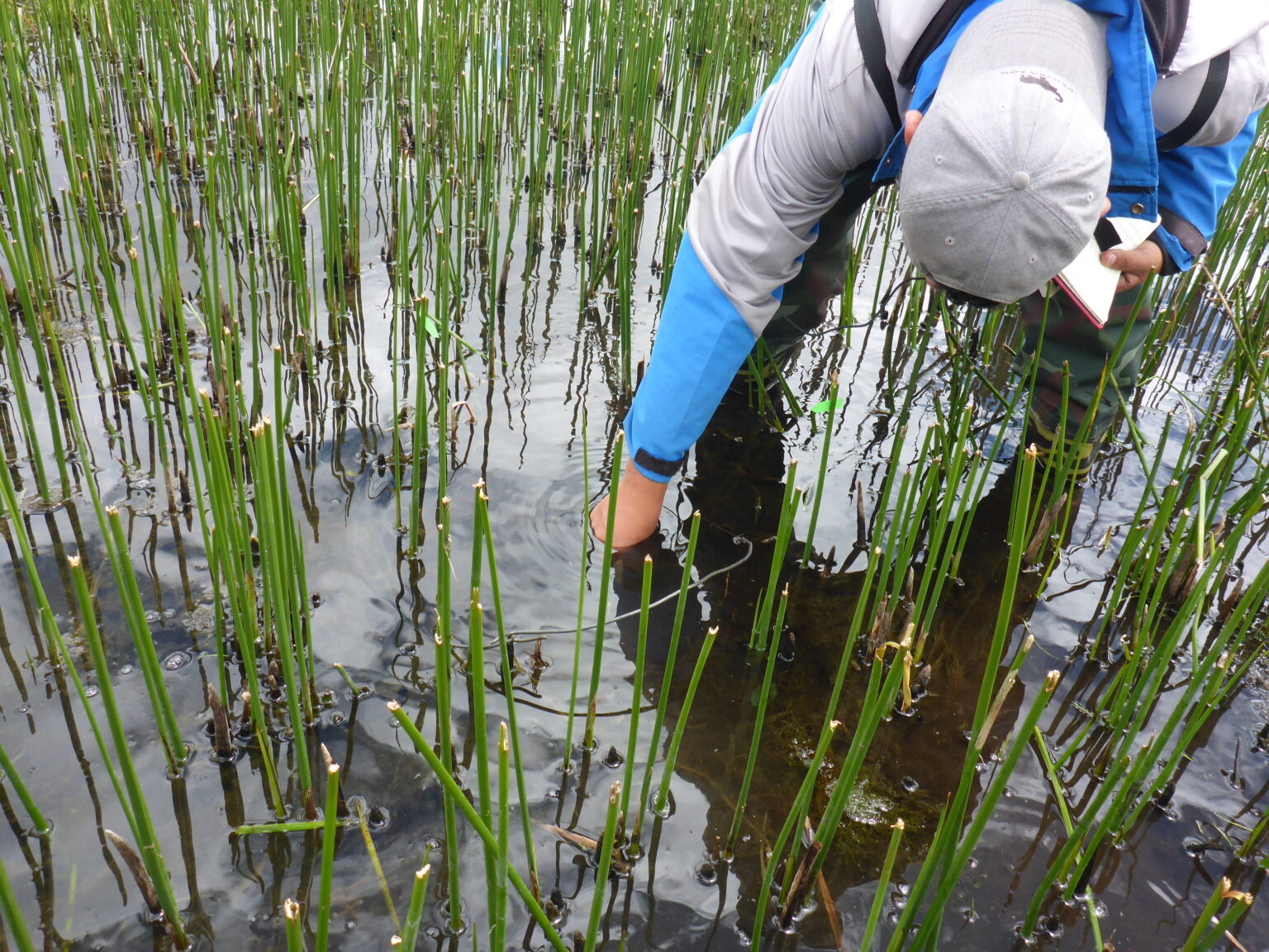 Lake Chinchaycocha, Peru - Wetlands International